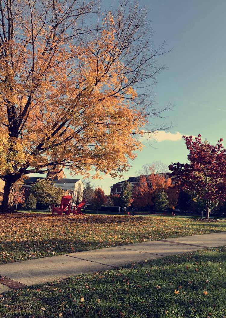 College Life: Senior Year is Finally Here