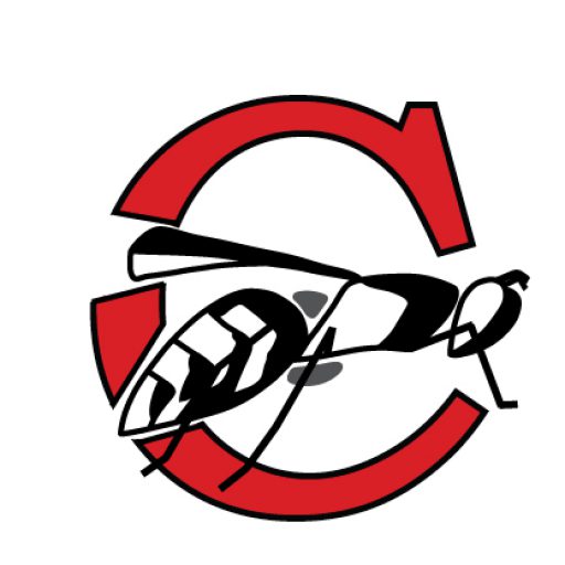 cropped-crit-logo-finaljpg